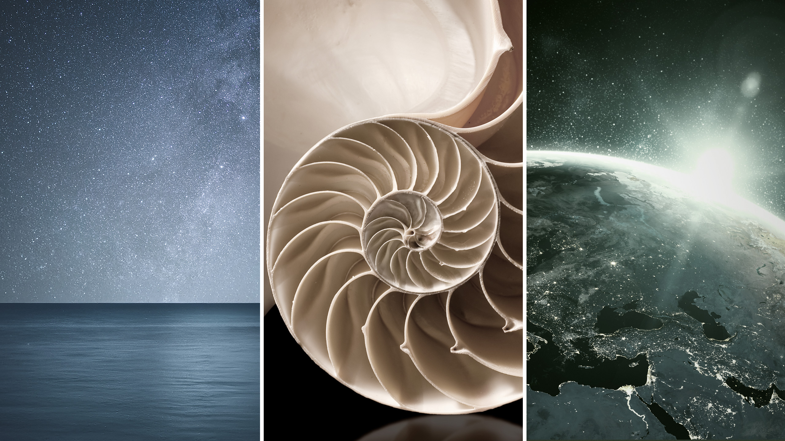 The Three Principles - Arnold & Son